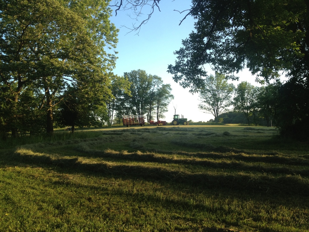 Renaming Beaver Valley | Save The Valley